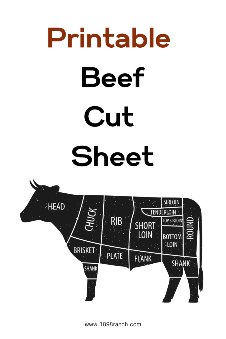 Printable Beef Cut Sheet: Free Sheet or Make Your Own